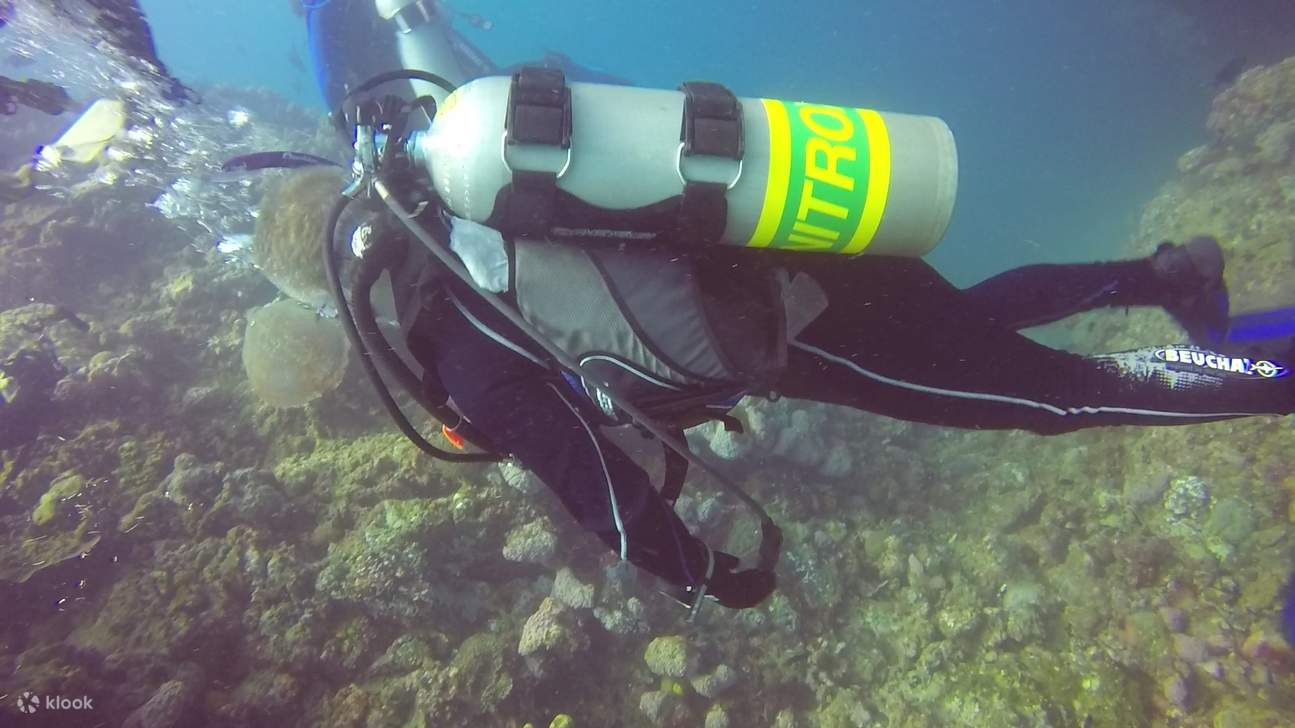 与 Padi 5 星级 Idc 一起探索吕宋岛的 Padi 高能空气潜水员 Klook客路
